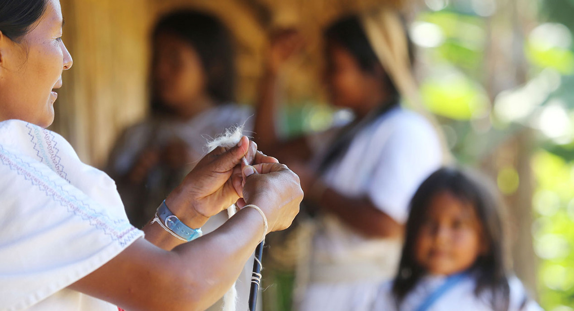 NNTC | Nlaka’pamux Nation Tribal Council